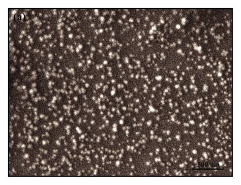 A SEM Imaging B Statistical Particle Size Based On SEM Image 100 Download Scientific