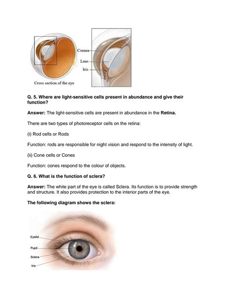 Solution Class 10 Science Case Study Questions Chapter 10 Human Eye