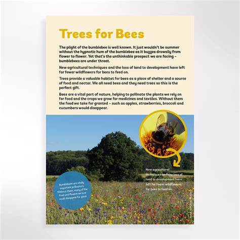 Trees For Bees Woodland Trust Shop