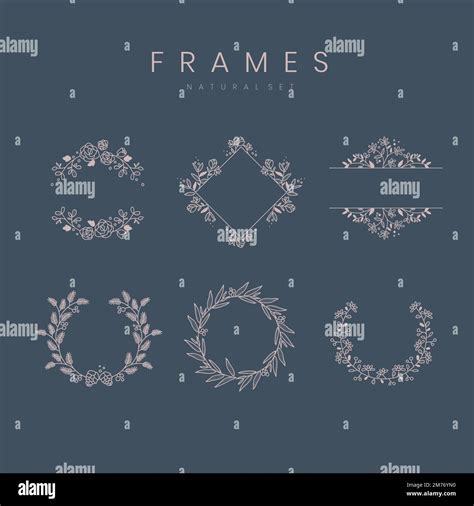 Set Of Botanical Frame Design Elements Vector Stock Vector Image And Art