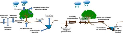 Hydrological And Sediment Erosion And Deposition Processes Represented