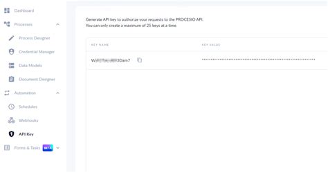 Run A Process With Files Via Call API Integrations Demos
