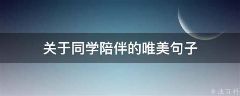 关于同学陪伴的唯美句子 业百科