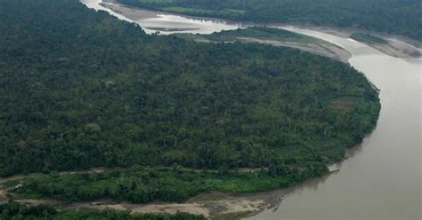 Medirán el nivel de deforestación del Amazonas Infobae