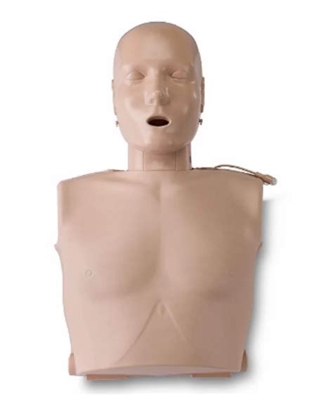 Laerdal Cpr Mannequin Adult For Training At ₹ 15000 Piece In Mumbai