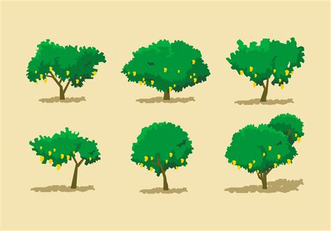Mango Tree Vector Sets 134719 Vector Art At Vecteezy