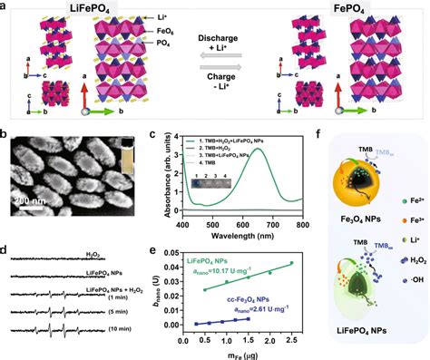 Lifepo4 Nps As Verification Materials And Their Pod Like Activity A The Download Scientific