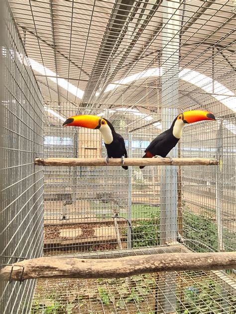 ‎גרובר פארם גרובר פארם נשר תל חנן חיות מחמד ודגי נוי