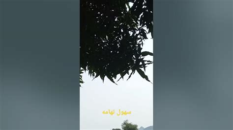 سهول تهامه Youtube