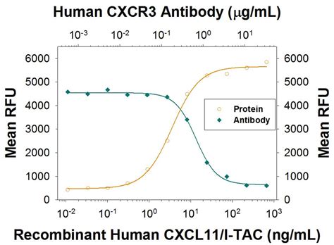 Cxcr3 Antibodies Novus Biologicals