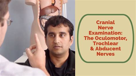 Cranial Nerve Exam