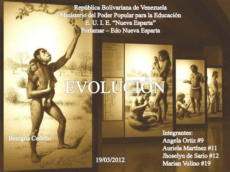 SOLUTION Diapositivas Sobre La Evoluci N Studypool