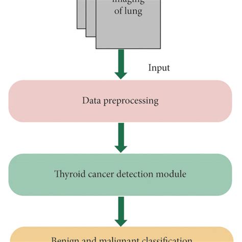 Flowchart Of Thyroid Cancer Detection Method Based On Deep Learning