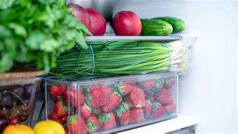 Consejos para conservar tus alimentos frescos más tiempo en verano
