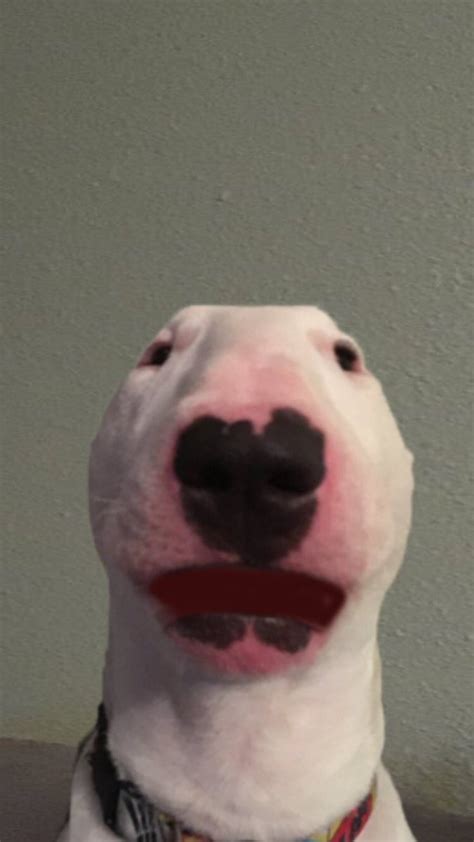Walter Blank Template Imgflip