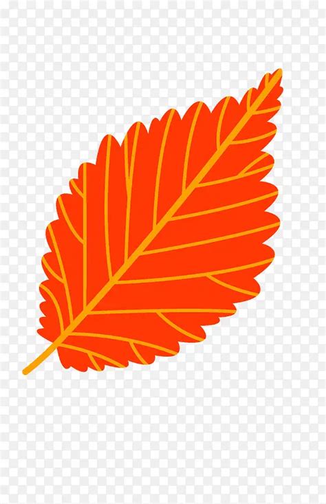 Png Png