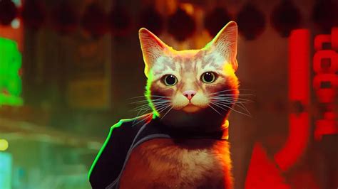 Stray вся информация об игре, читы, дата выхода, системные требования ...