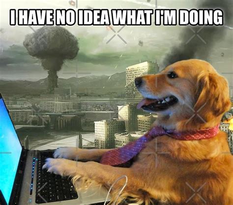 Data Visualization Astigmatism Ophthalmology Python Analysis