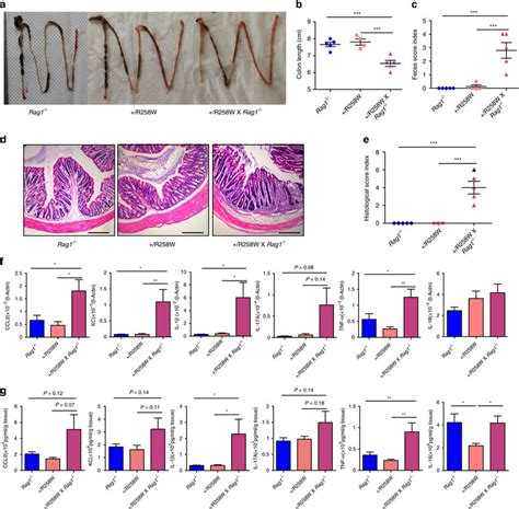 The Nlrp3r258w X Rag1−− Mice Develop Spontaneous Colitis Ae
