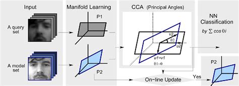 Figure 1 From On Line Learning Of Mutually Orthogonal Subspaces For Face Recognition By Image