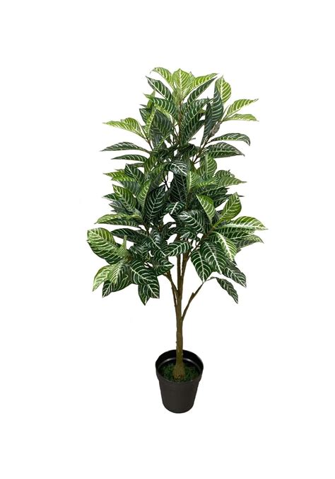 Artificial Zebra Plant ~140cm Craftway Floral And Ts