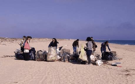 Voluntários promovem recolha de lixo na Ria de Cabanas Postal do Algarve