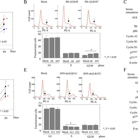 Ihc In Serial Sections Of Em Ca Tissues A Staining By He And Ihc For