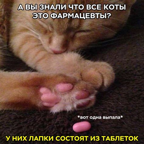 Таблетка или тик-так? | Пикабу