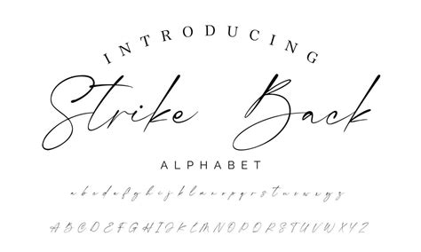 Signature Font Calligraphy Logotype Script Brush Font Type Font