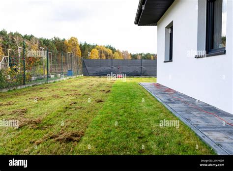 Scarifying The Lawn Before The Winter Season Using An Electric