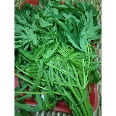 Pucuk Ubi Kayu Manis 500g Shopee Malaysia