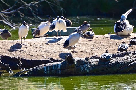 Cleland Wildlife Park Adelaide South Australia A 360 Degree Virtual
