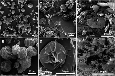 Fabrication Of Thermo Responsive Multicore Microcapsules Using A Facile Extrusion Process Rsc