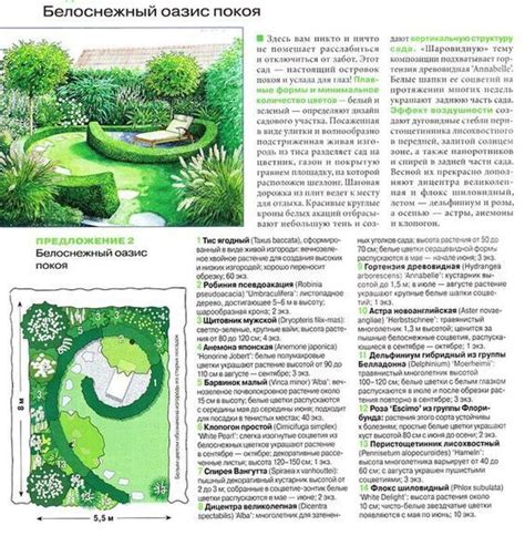 идеи для сада Озеленение холма Озеленение для укрытия от любопытных глаз Композиции цветников