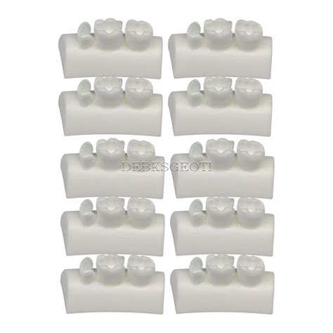 Dental Typodont Model Molar Cavity Filling Practice Philippines Ubuy