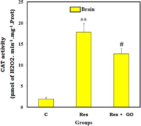 Antioxidant Activity In Treated Animals Level Of Catalase Cat Enzyme