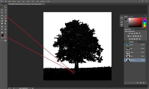Background Remove Using Alpha Channel Masking In Photoshop