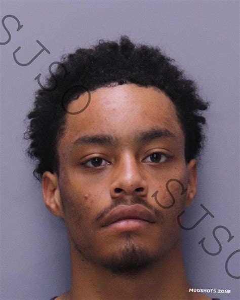 Segalowitz Elijah Michael Daniel 11172024 St Johns County Mugshots