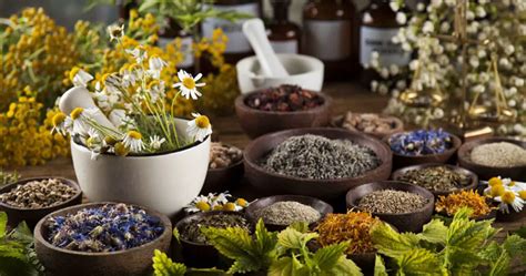 Naturopaths And Naturopathy Important Facts You Need To Know Healthtian
