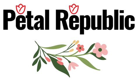 Growing Coneflowers From Seed Tips And Recommendations Petal Republic