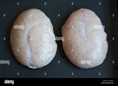 Les Testicules Banque De Photographies Et Dimages à Haute Résolution