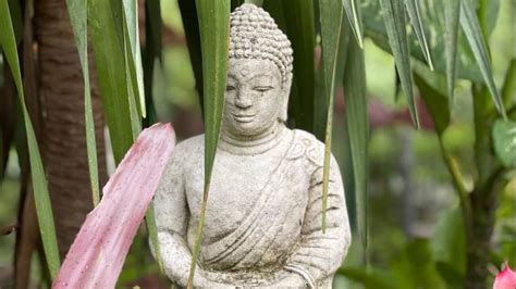 Yoga Retreat Day With Dani Mondahl