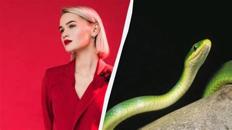 რატომ არ შეგვიძლია საახალწლოდ წითელი ფერის ჩაცმა საყურადღებო რჩევები