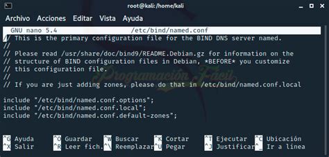 Crear Un Servidor Dns En Linux Instalación Programación Fácil