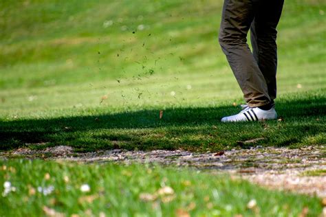 Zeon Zoysiagrass The Best Turf For Golf Course Fairways And Your Home