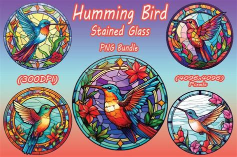 2 Humming Bird Graphics Designs And Graphics