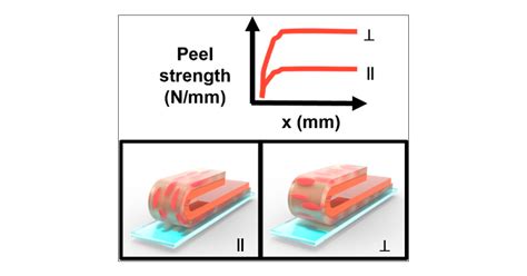 Directional Adhesion Of Monodomain Liquid Crystalline Elastomers Acs Applied Materials