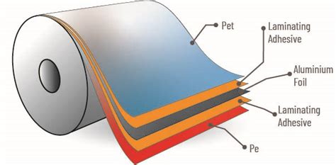 Petalupe Şiva Flexibles