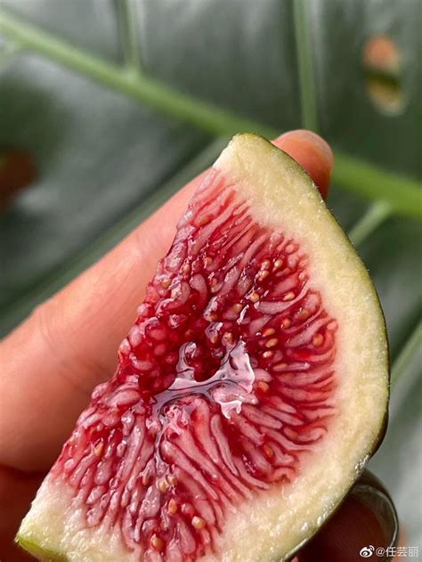 好消息云南无花果上市了 财经头条 新浪财经