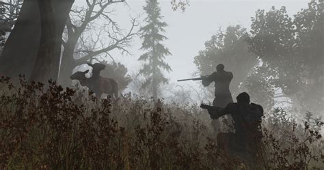 Fallout 76 Succeeds As A Fever Dream Instead Of A Simulation Polygon
